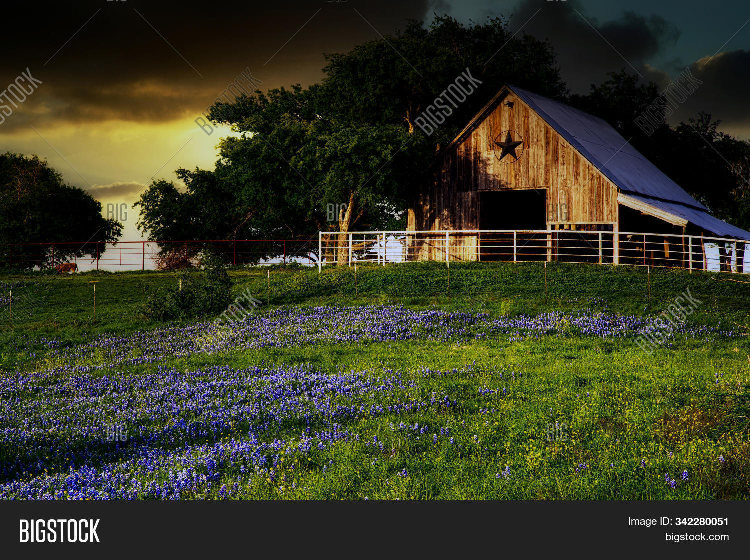 Texas Barn Meadow Image & Photo (Free Trial) | Bigstock