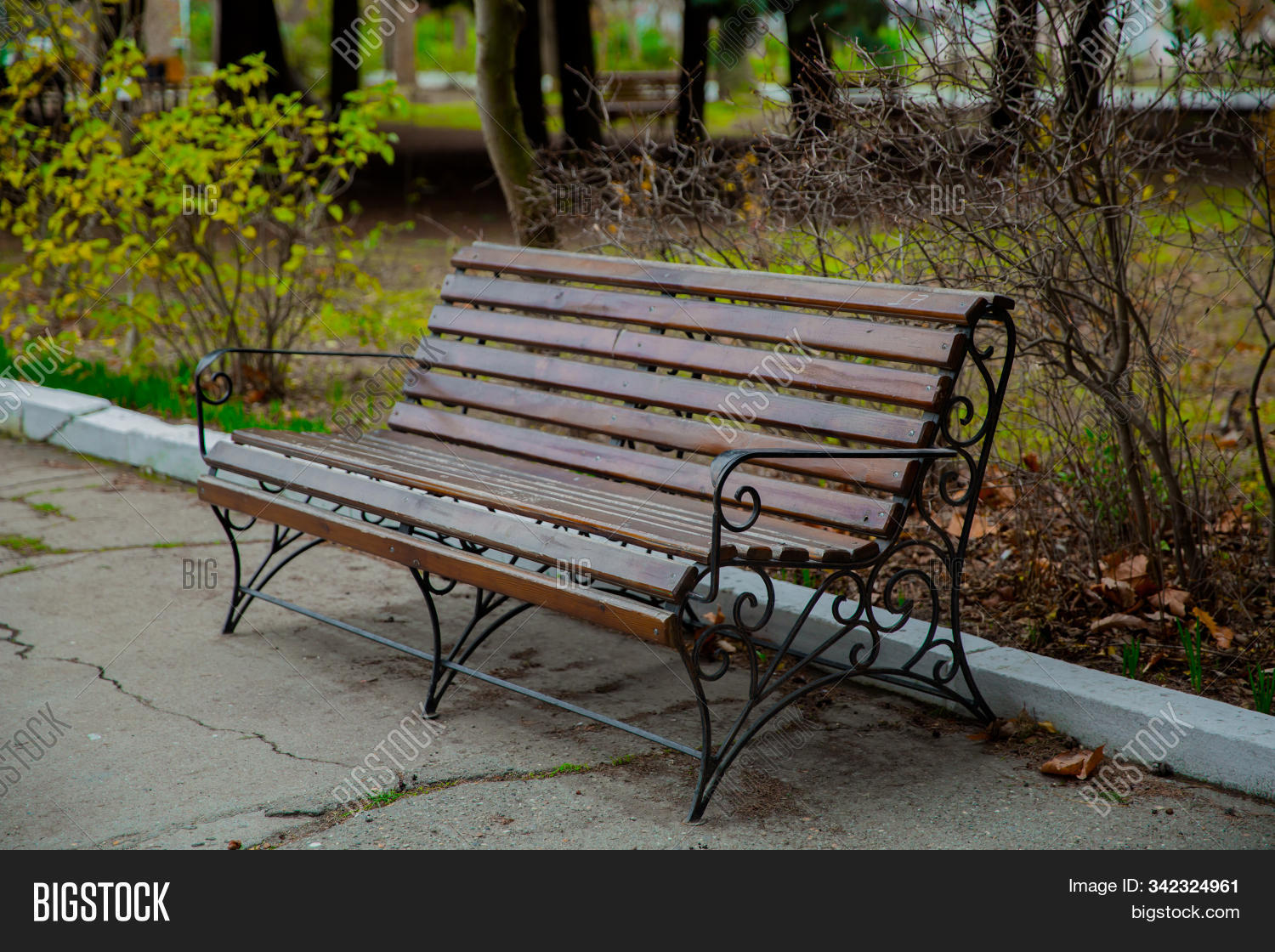 Blank Old Bench Shady Image & Photo (Free Trial) | Bigstock