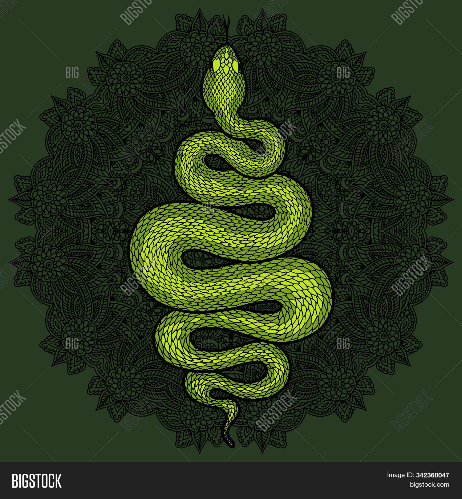 Coiled Snake Over Vector & Photo (Free Trial) | Bigstock