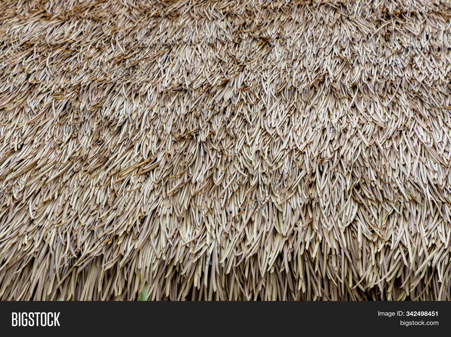 Thatched Roof Image & Photo (Free Trial) | Bigstock