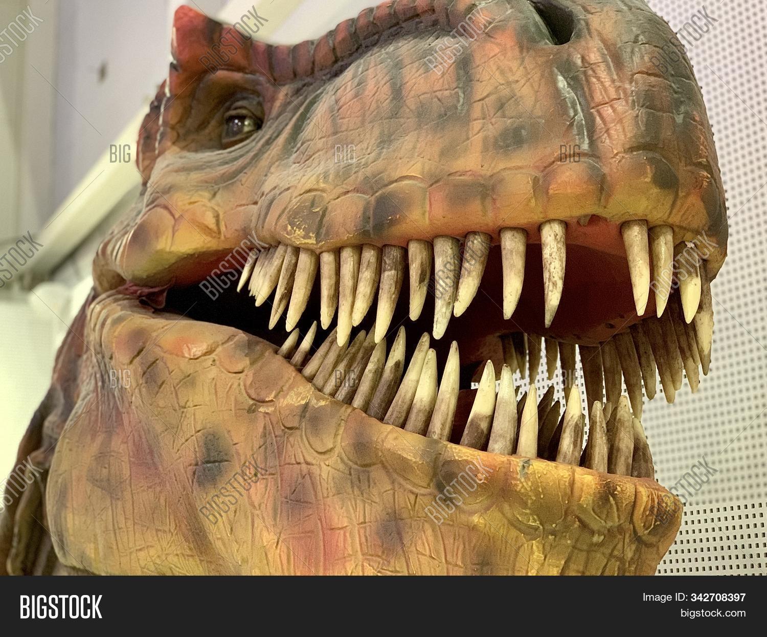 Dinosaur Head Open Image & Photo (Free Trial) | Bigstock