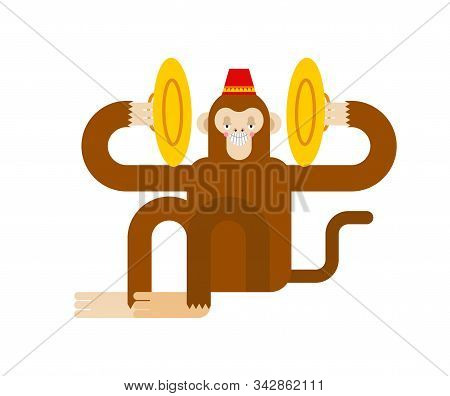 Monkey Cymbals Vector & Photo (Free Trial) | Bigstock