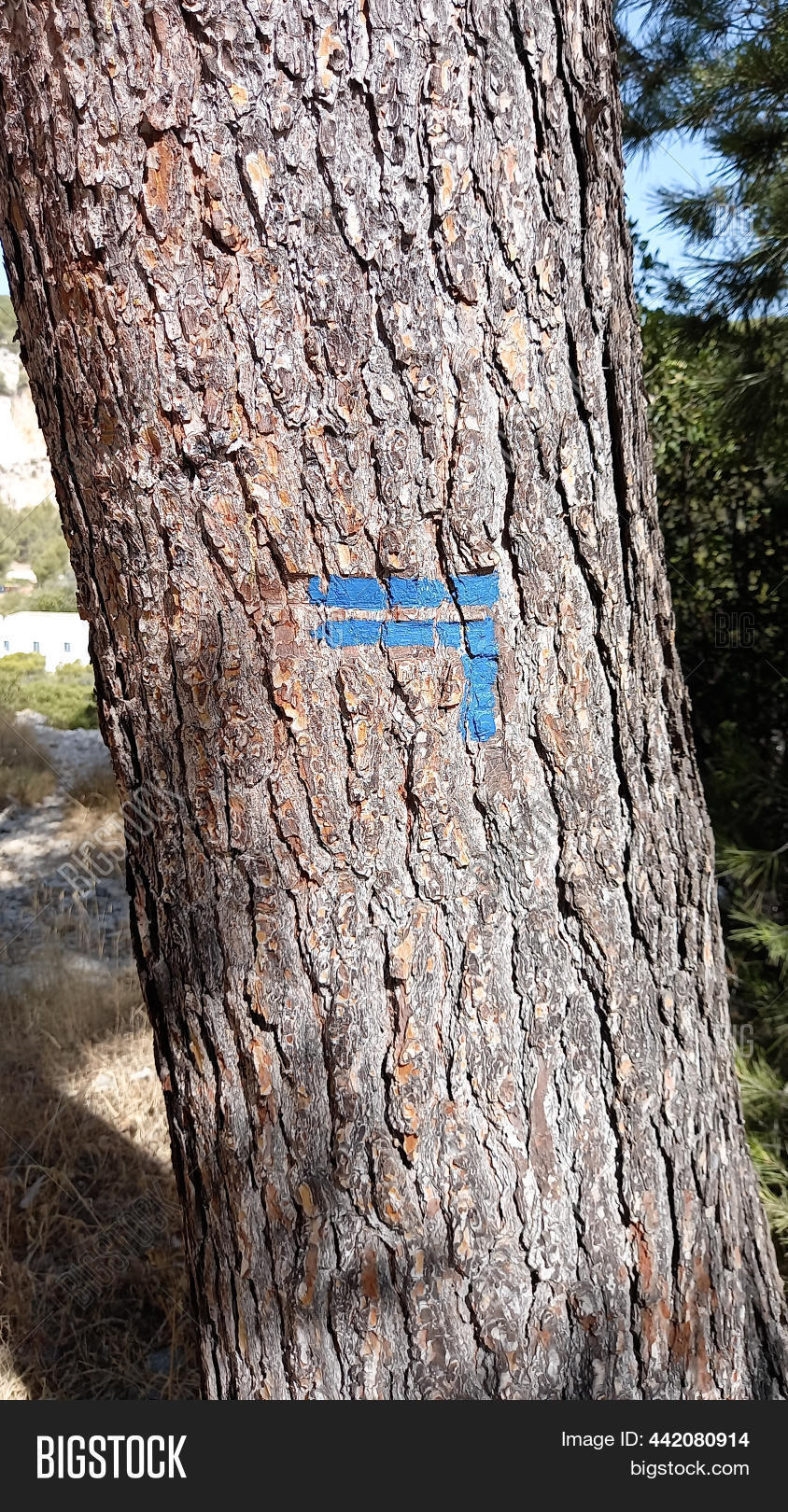 Blue Markings Sign Image & Photo (Free Trial) | Bigstock