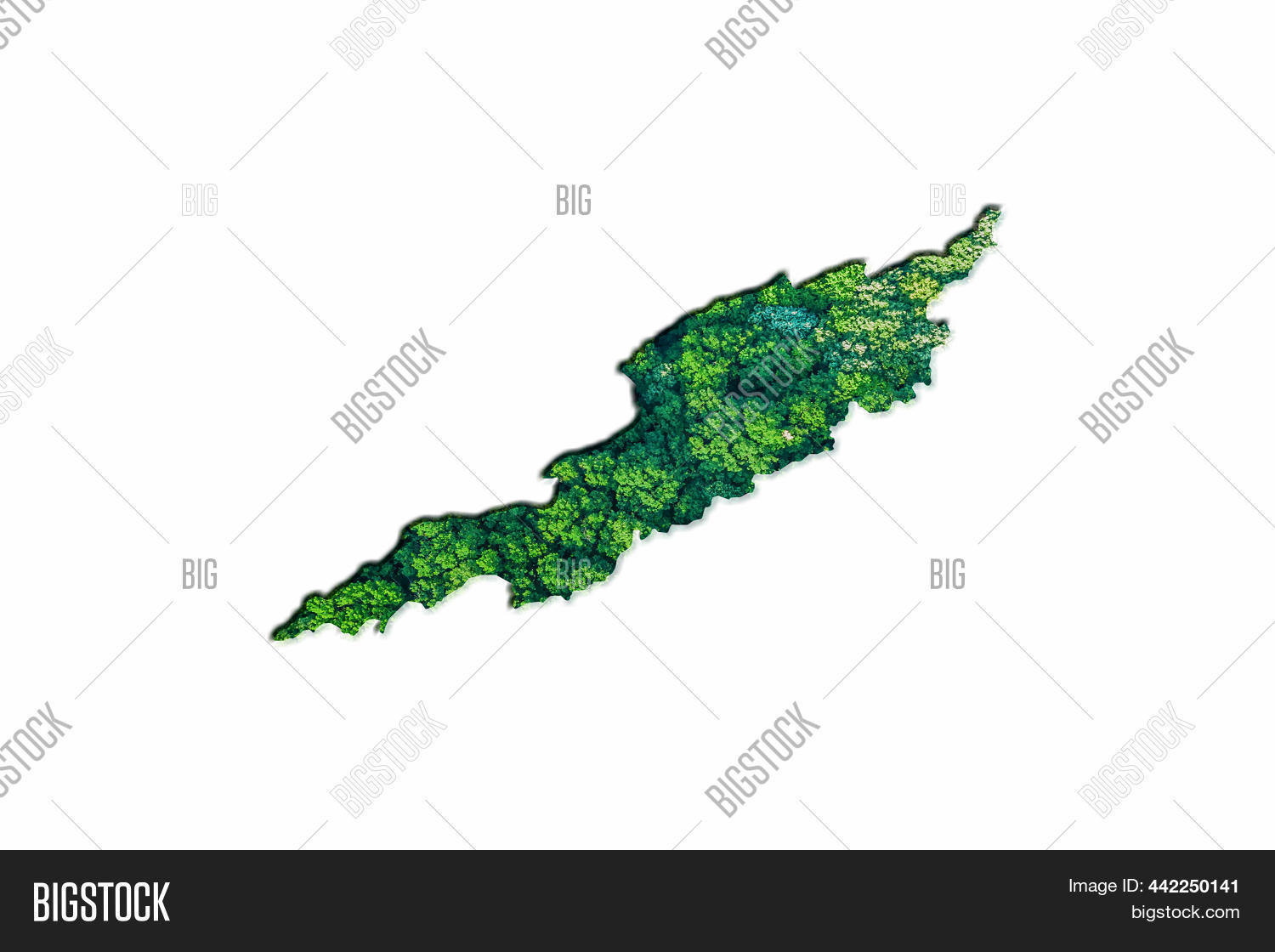 Green Forest Map Image & Photo (Free Trial) | Bigstock