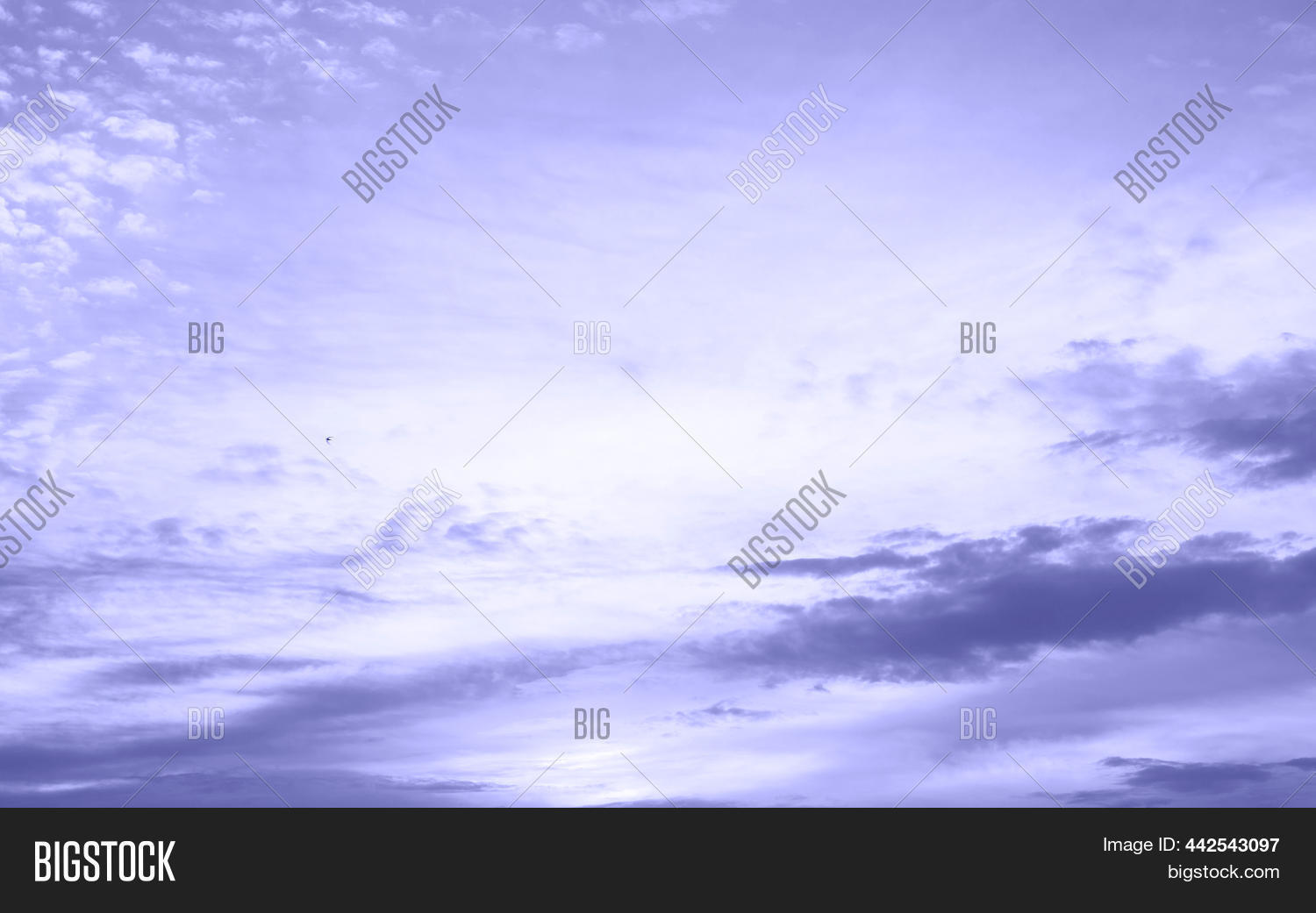 Color 2022 Very Perry Image & Photo (Free Trial) | Bigstock
