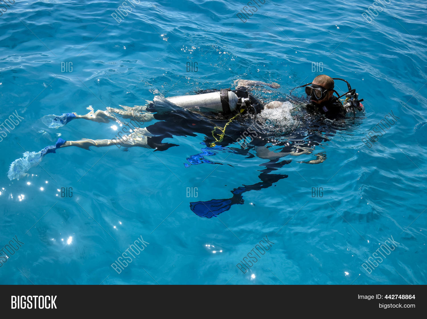 Learning Process Scuba Image & Photo (Free Trial) | Bigstock