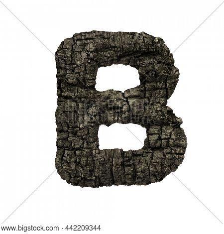 Burned Wood Letter B Image & Photo (Free Trial) | Bigstock