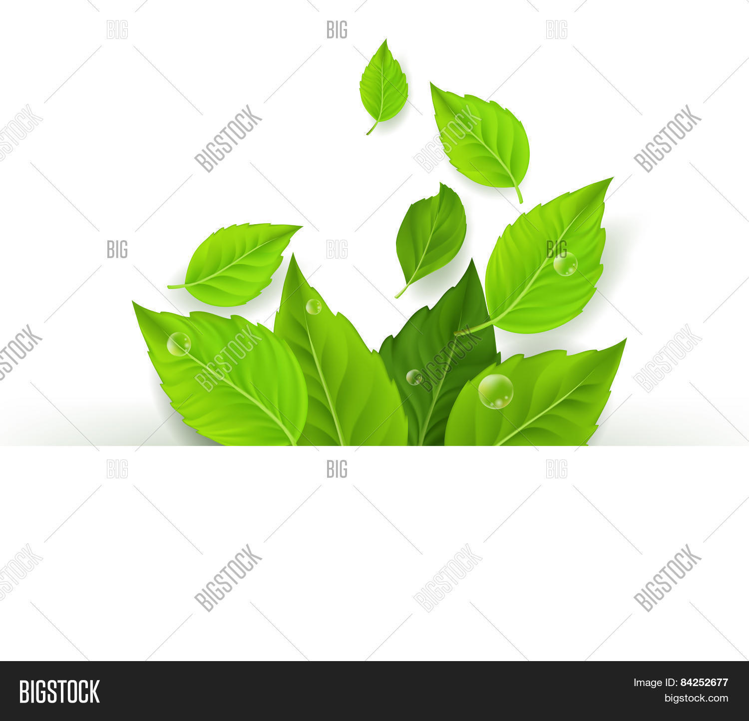Realistic Leaves Vector & Photo (Free Trial) | Bigstock