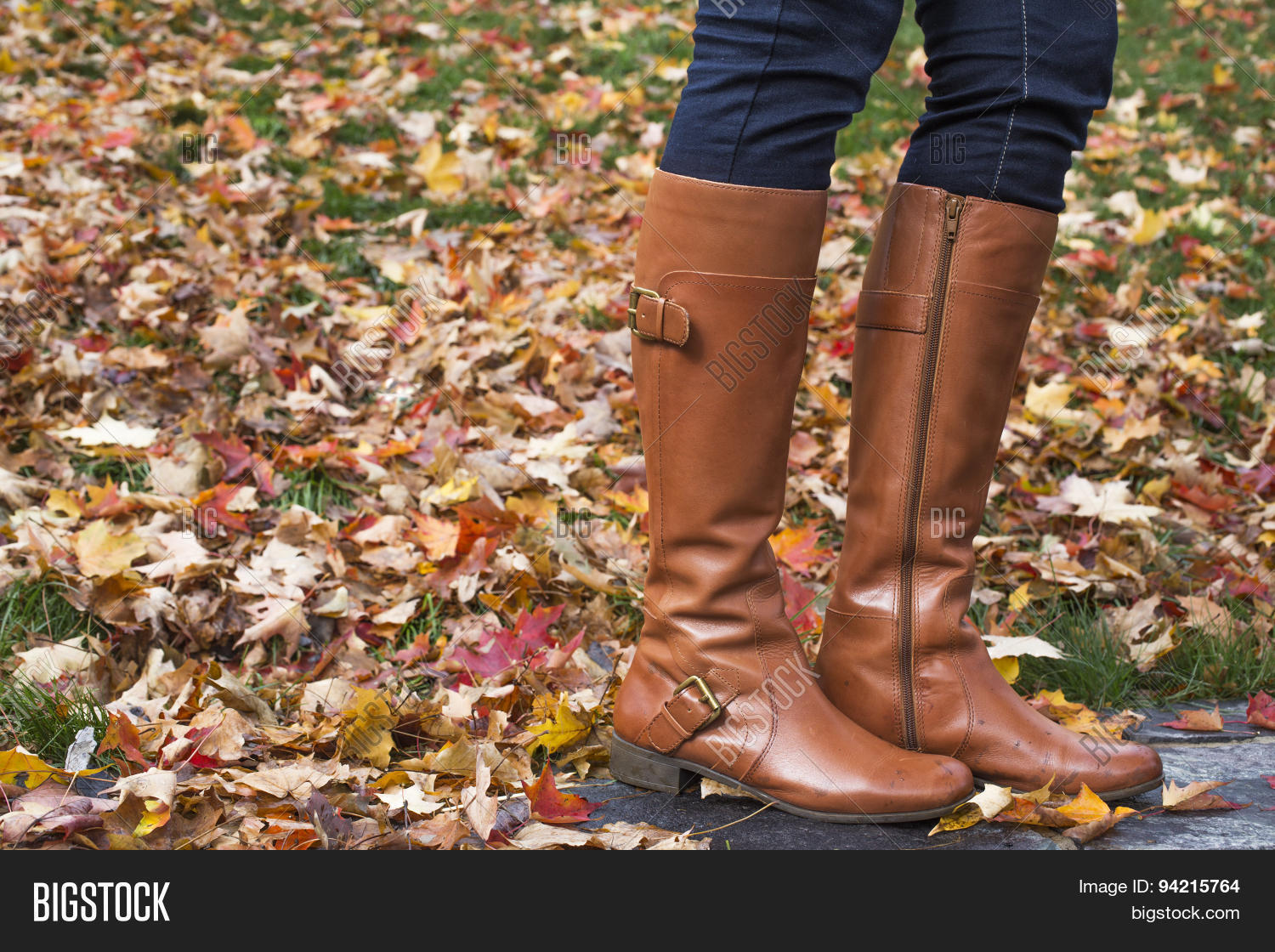 Brown Boot Image & Photo (Free Trial) | Bigstock