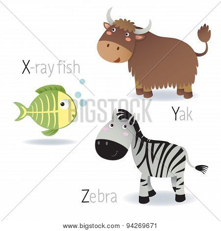 Alphabet Animals X Z Vector & Photo (Free Trial) | Bigstock