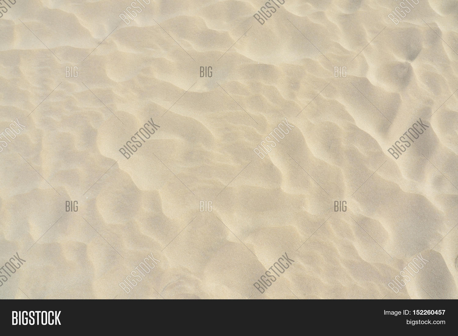 Beach Sand Background Image & Photo (Free Trial) | Bigstock