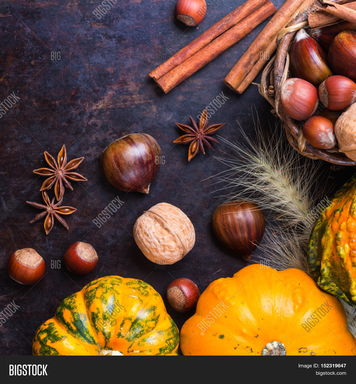 Autumn Fall Harvest Image & Photo (Free Trial) | Bigstock