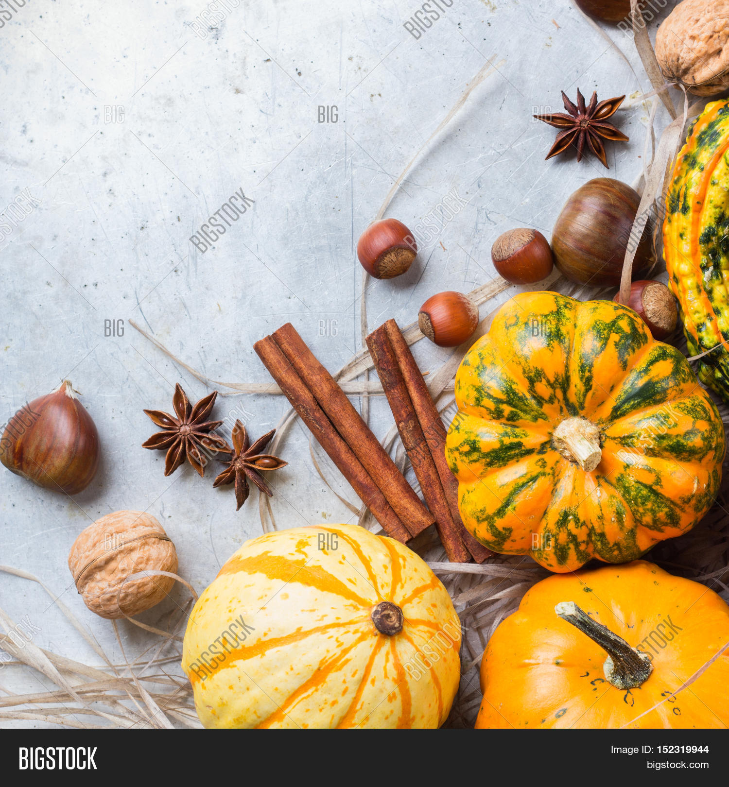 Autumn Fall Harvest Image & Photo (Free Trial) | Bigstock