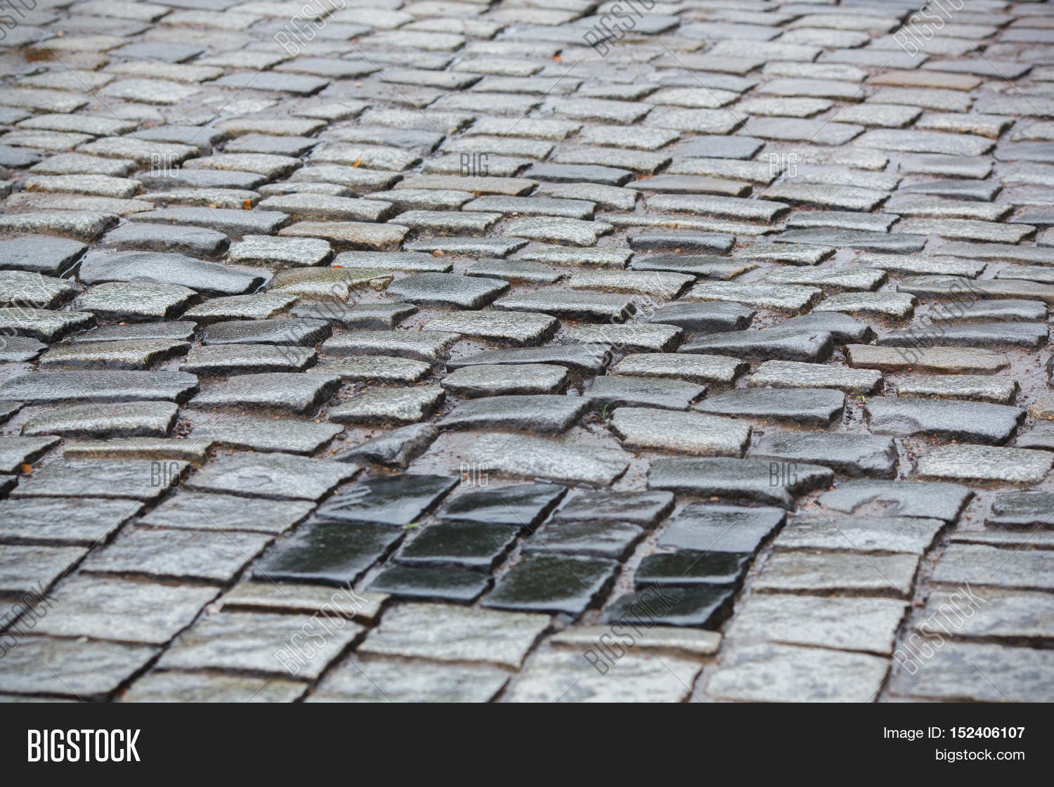Old Wet Paving Stone Image & Photo (Free Trial) | Bigstock