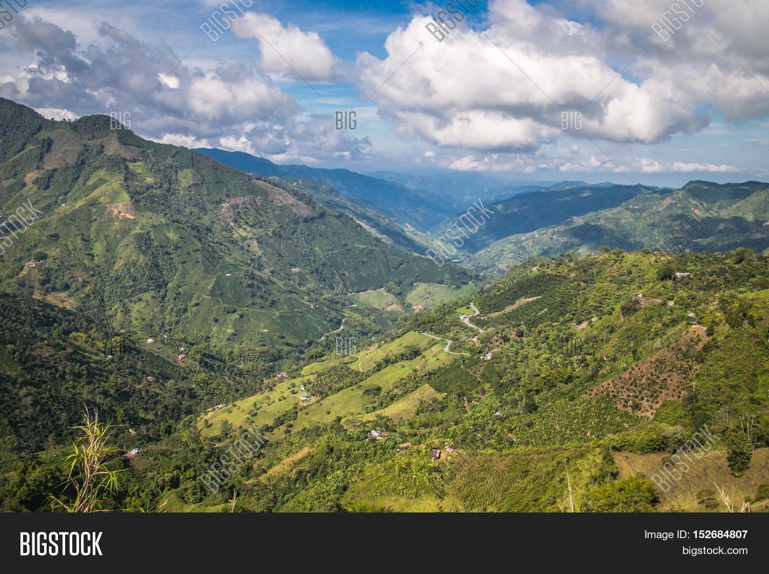 Jungle Colombian Green Image & Photo (Free Trial) | Bigstock