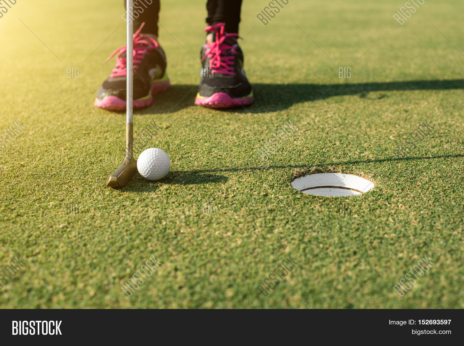 Golf Player Putting Image & Photo (Free Trial) | Bigstock