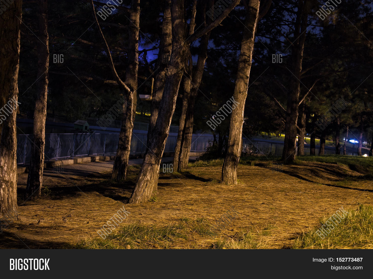 Dark Night Park View Image & Photo (Free Trial) | Bigstock