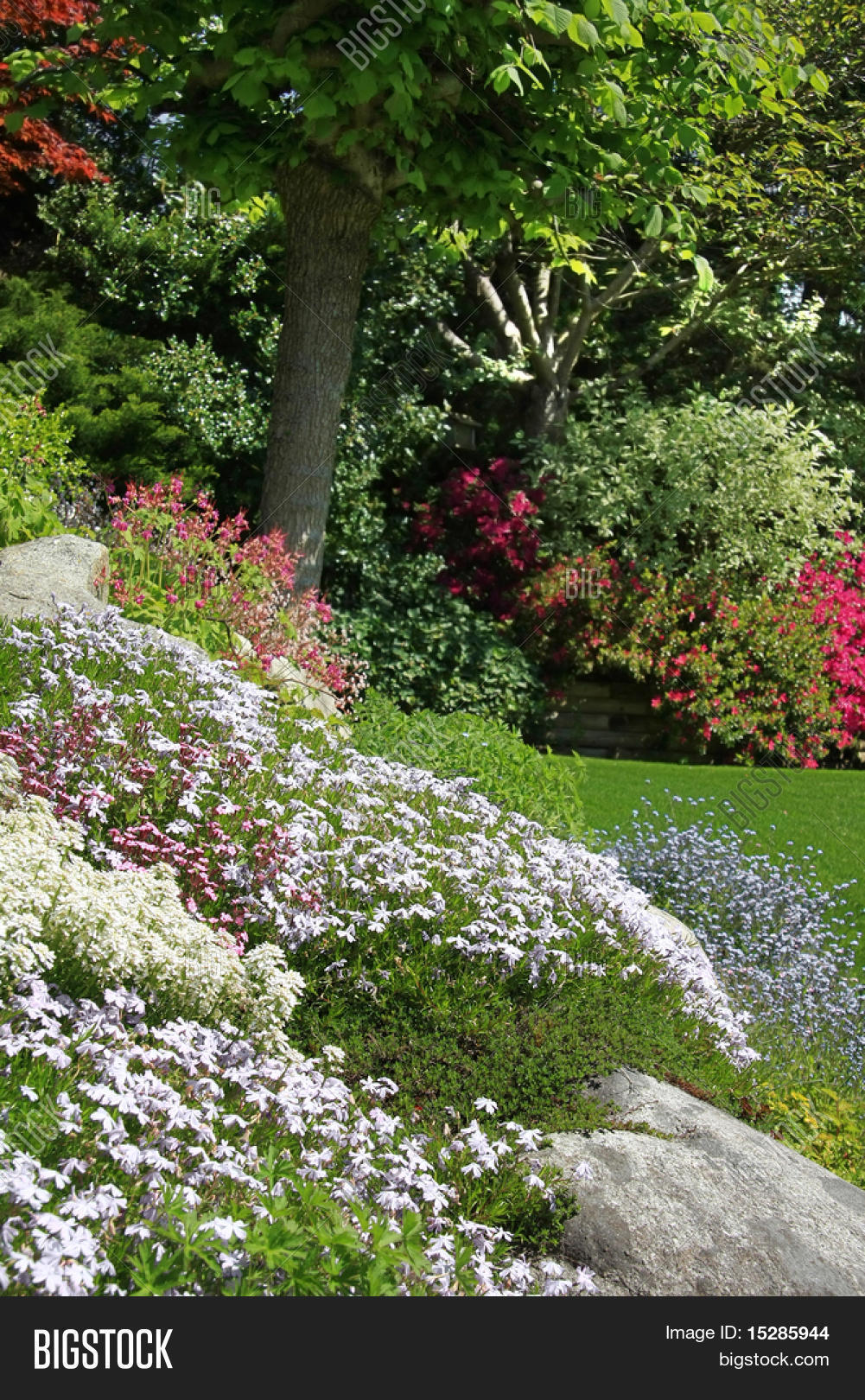 Flowering Rock Garden Image & Photo (Free Trial) | Bigstock