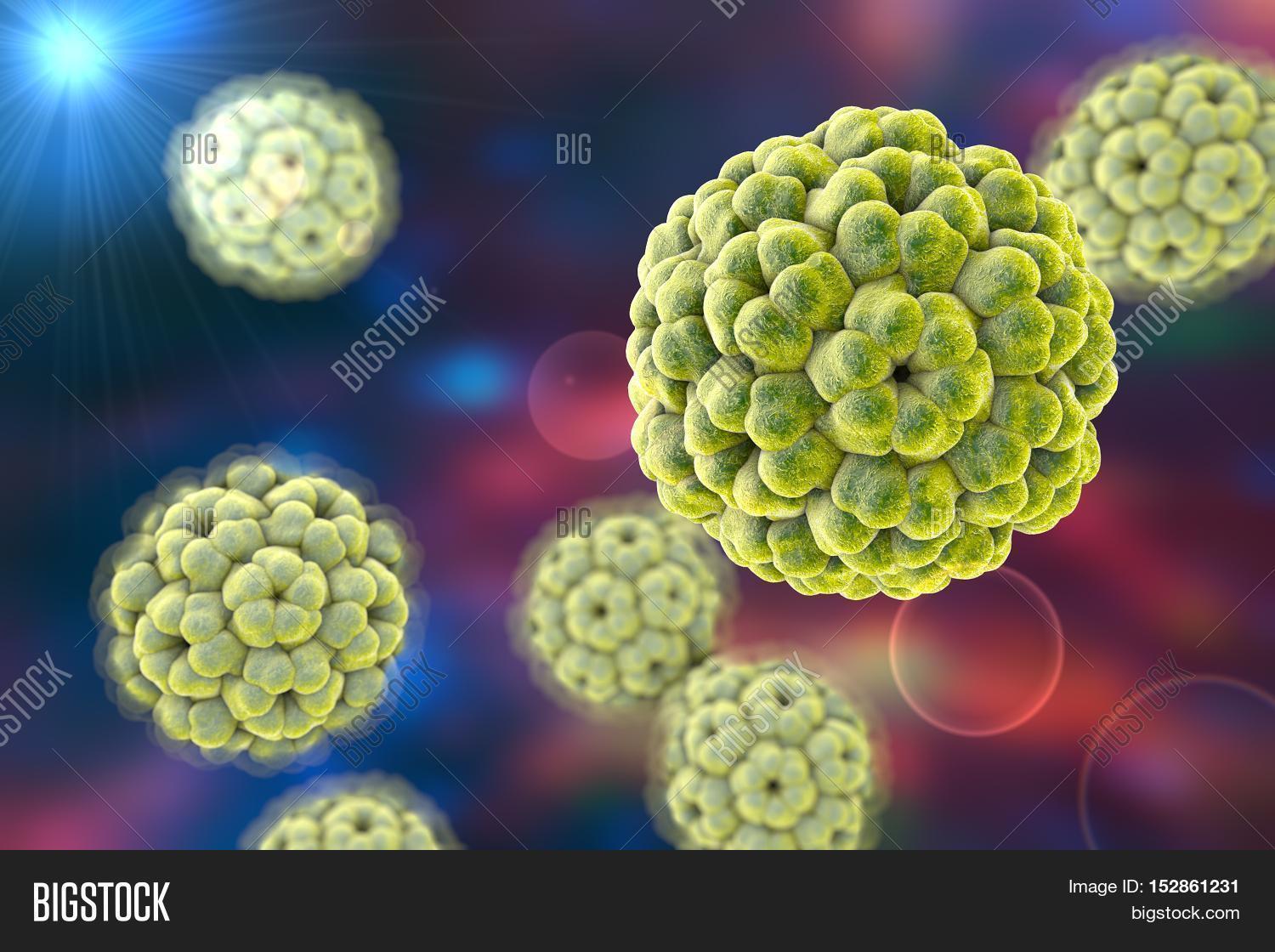 Brome Mosaic Virus On Image & Photo (Free Trial) | Bigstock