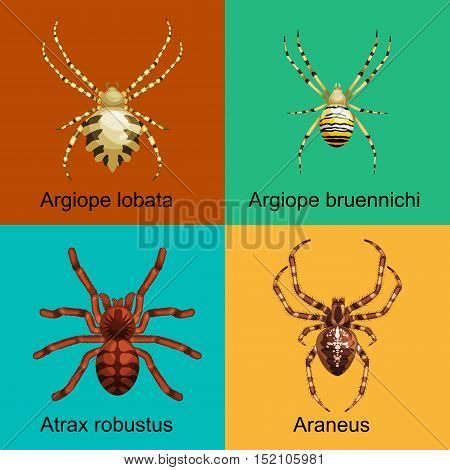 Flat Spiders Cartoon Vector & Photo (Free Trial) | Bigstock