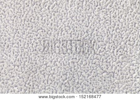 Light Gray Fluffy Image & Photo (Free Trial) | Bigstock