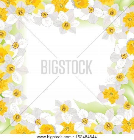 Daffodil Border Images, Illustrations, Vectors - Daffodil Border Stock ...