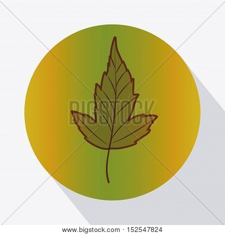 Leaf Inside Circle Vector & Photo (Free Trial) | Bigstock