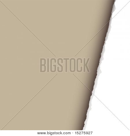 Page Rip Background Vector & Photo (Free Trial) | Bigstock