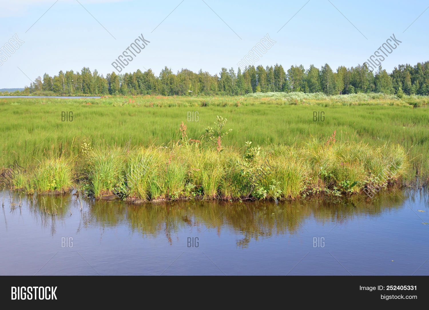 Wetland Lake Image & Photo (Free Trial) | Bigstock