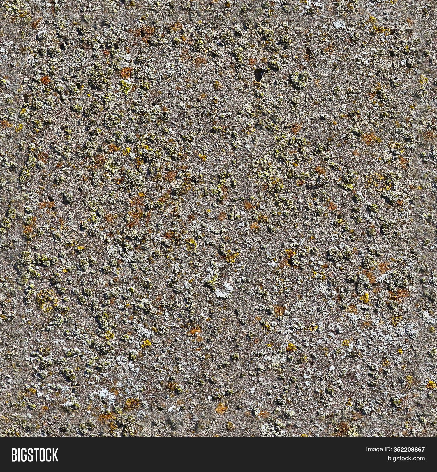 Photo Realistic Image & Photo (Free Trial) | Bigstock