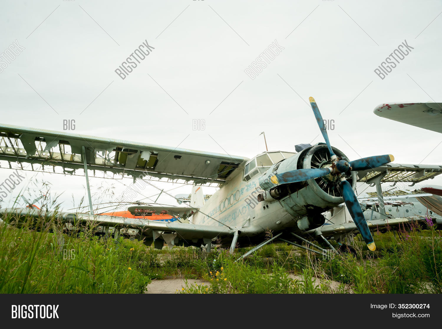 Airplane Wreck Old Image & Photo (Free Trial) | Bigstock