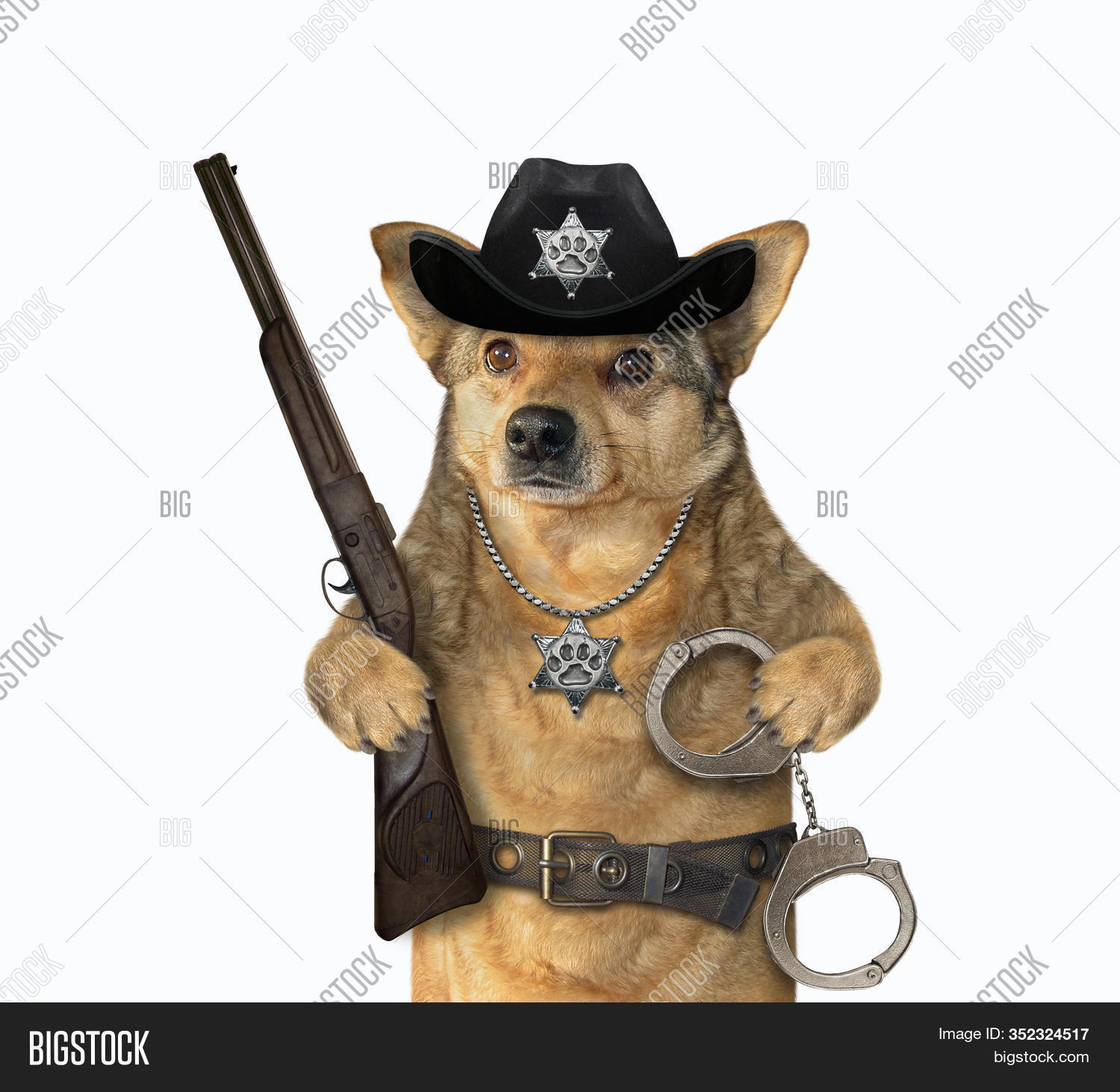 Beige Dog Policeman Image & Photo (Free Trial) | Bigstock