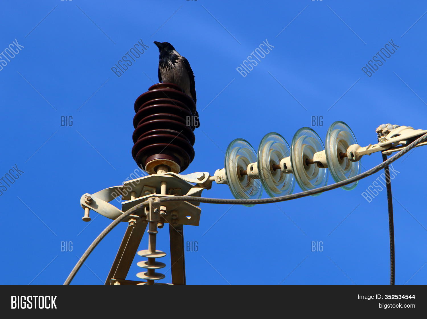 Metal Electric Pole Image & Photo (Free Trial) | Bigstock