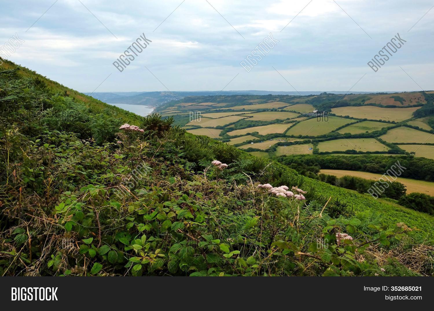 Green Fields On Hill Image & Photo (Free Trial) | Bigstock