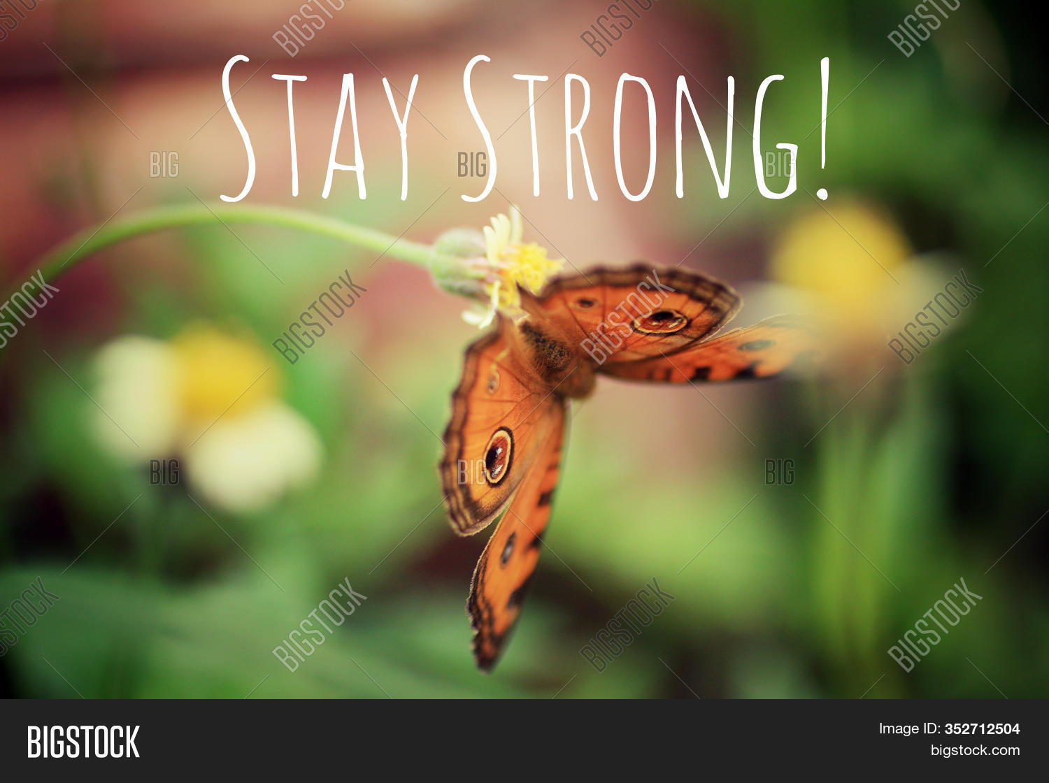 Stay Strong Beautiful