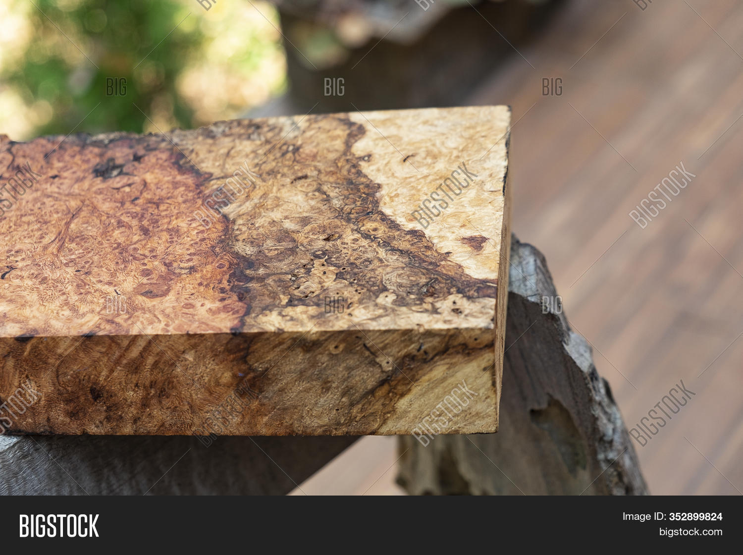 Nature Timber Burma Image & Photo (Free Trial) | Bigstock