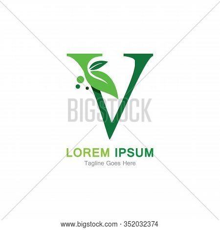 Letter V Leaf Logo Vector & Photo (Free Trial) | Bigstock