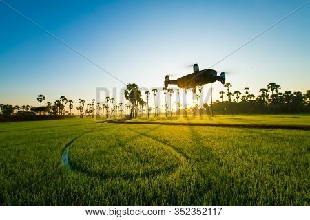 Drone Flying On Rice Image & Photo (Free Trial) | Bigstock
