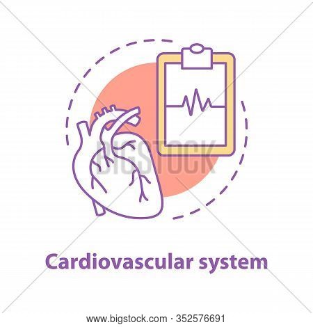 Cardiovascular System Vector & Photo (Free Trial) | Bigstock