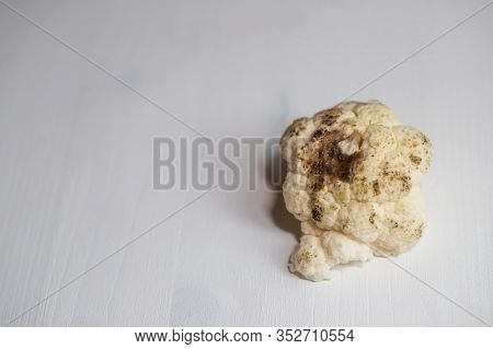 Spoiled Rotting Image & Photo (Free Trial) | Bigstock