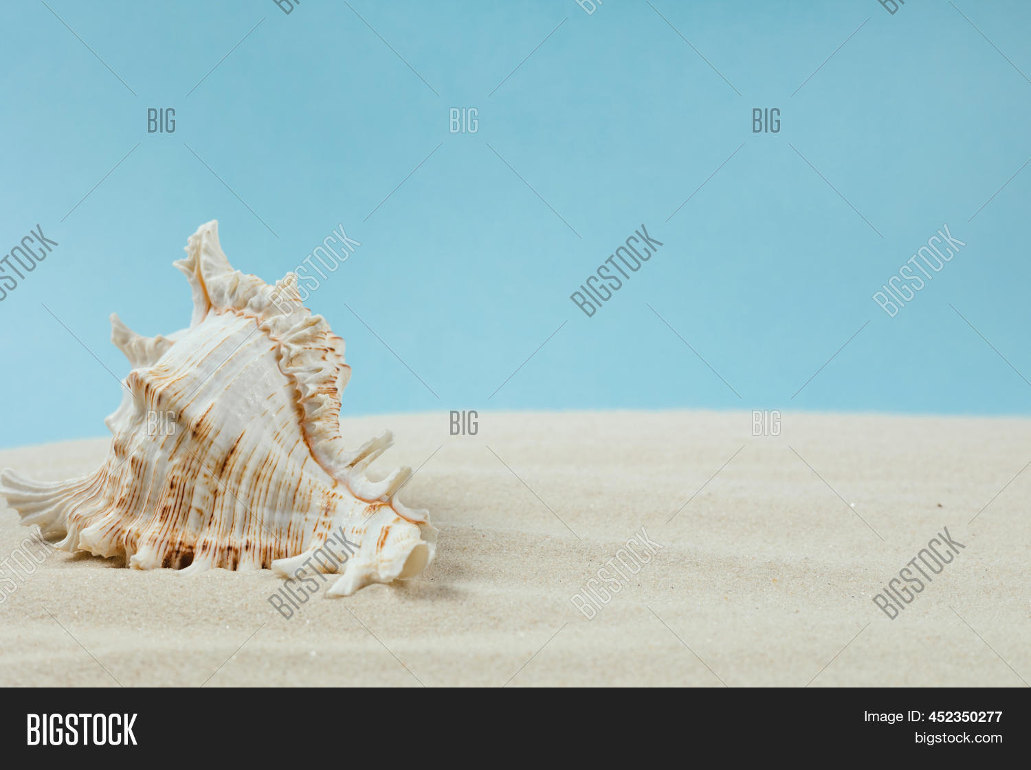 Background Light Beach Image & Photo (Free Trial) | Bigstock
