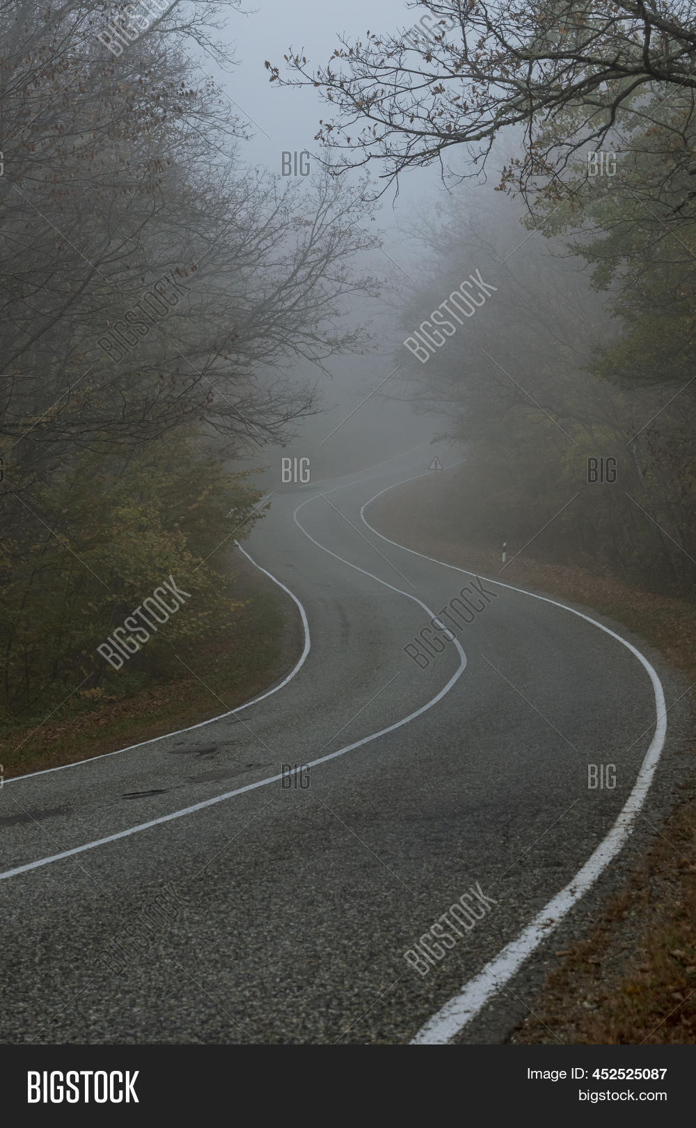 Country Road White Image & Photo (Free Trial) | Bigstock
