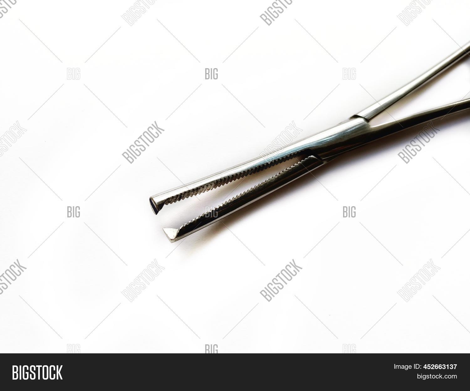 Kocher's Forceps Image & Photo (Free Trial) | Bigstock