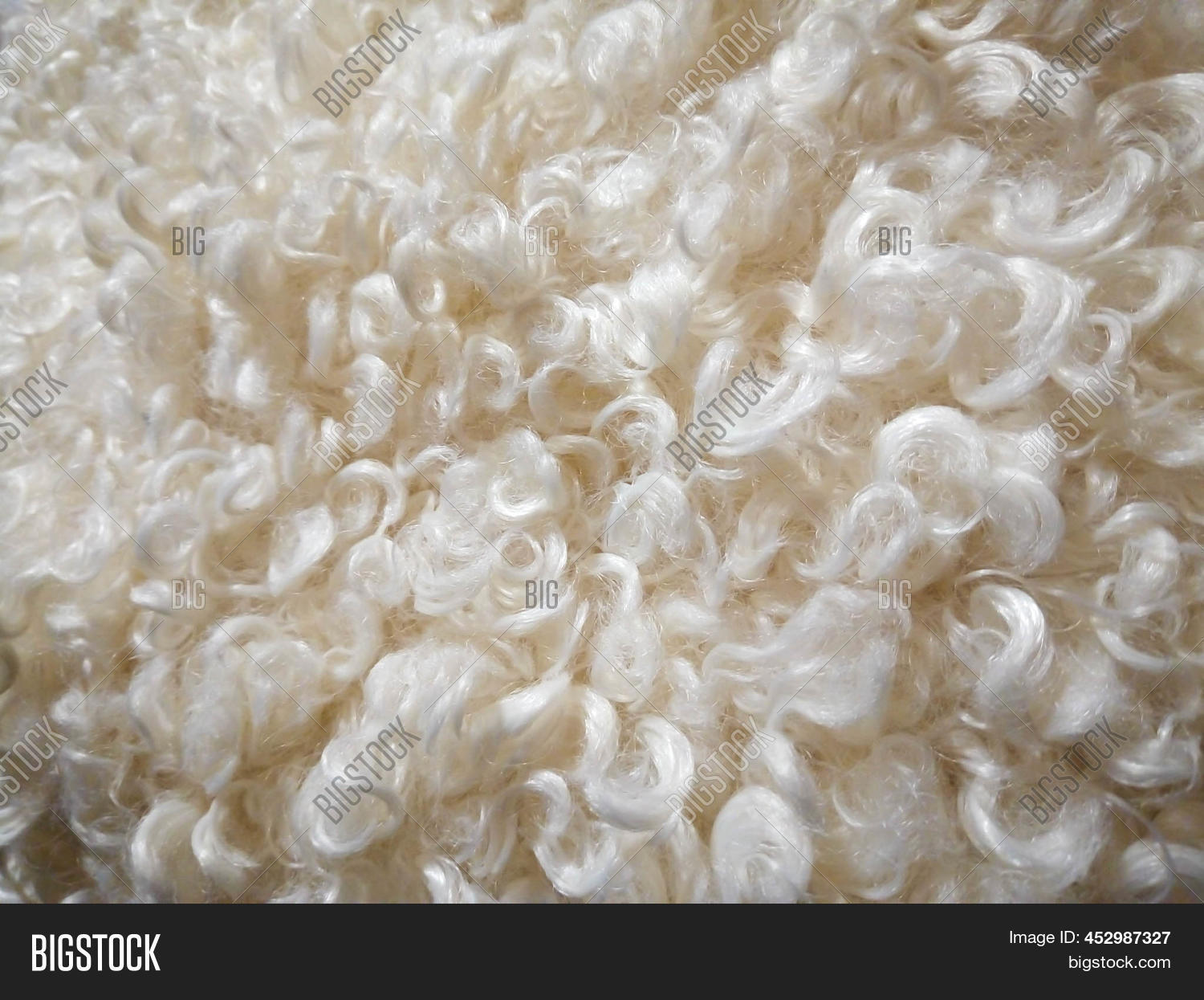 White Curly Wool Image & Photo (Free Trial) | Bigstock
