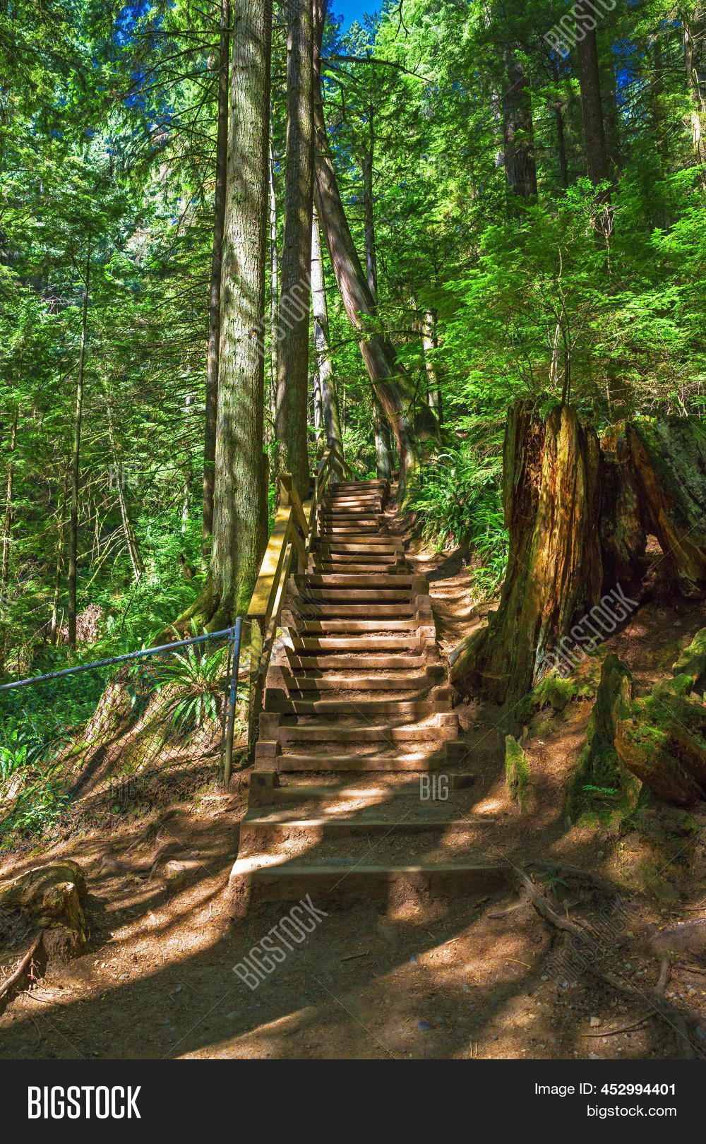 Wooden Trail Stairway Image & Photo (Free Trial) | Bigstock