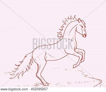 Sketch Running Horse Vector & Photo (Free Trial) | Bigstock