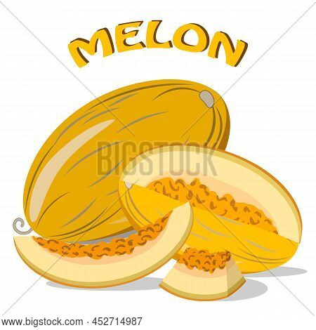 Illustration Melon On Vector & Photo (Free Trial) | Bigstock