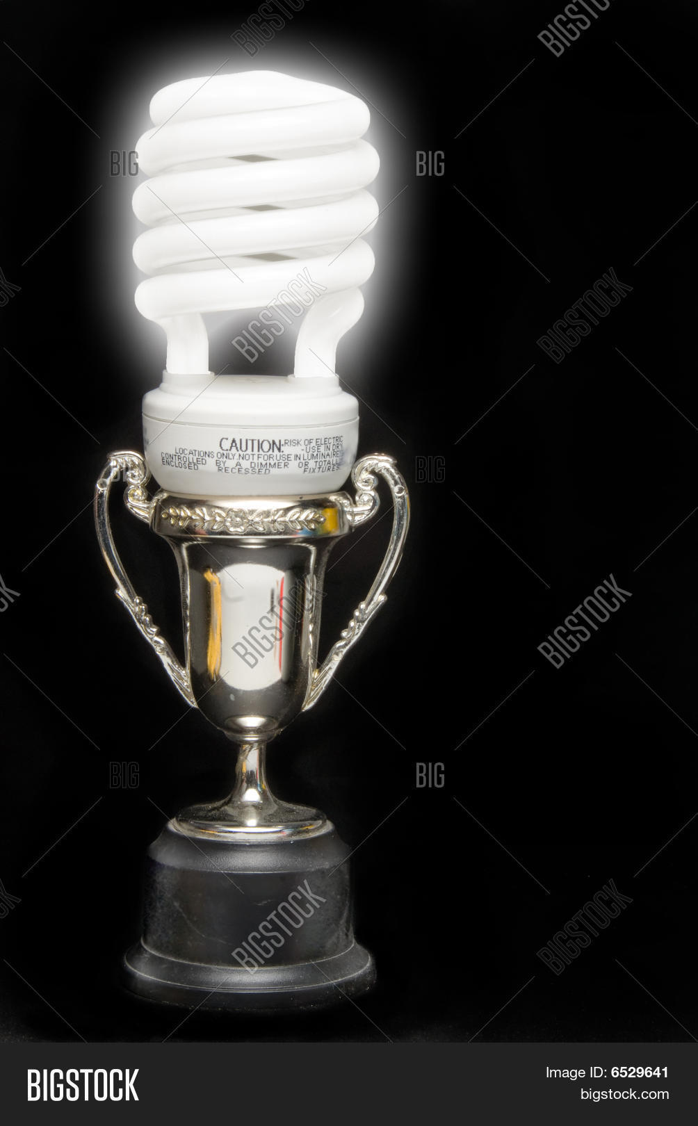 Light Bulb Trophy Image & Photo (Free Trial) | Bigstock