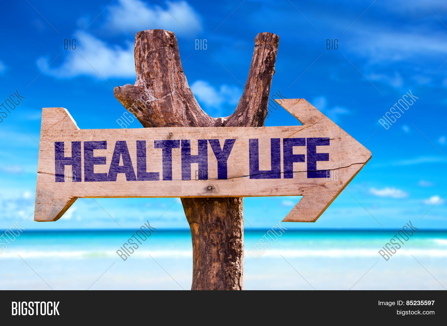 Healthy Life Wooden Image & Photo (Free Trial) | Bigstock