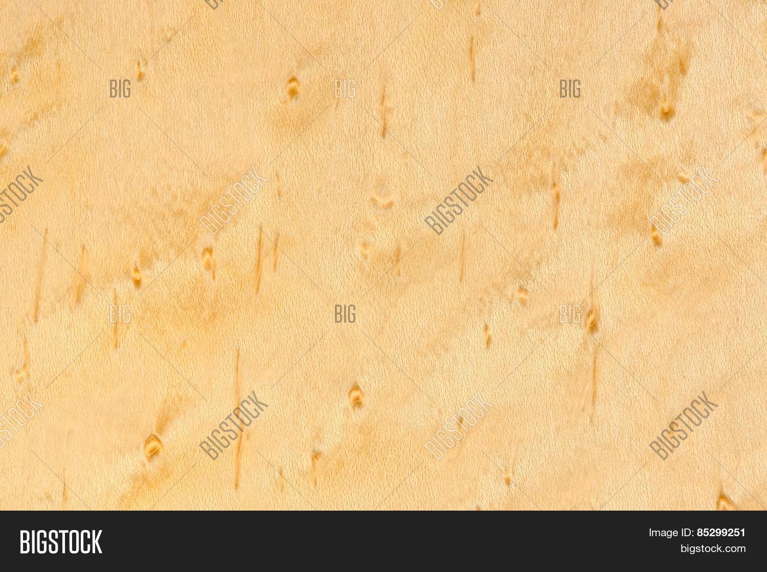 Birdseye Maple Wood Image & Photo (Free Trial) | Bigstock